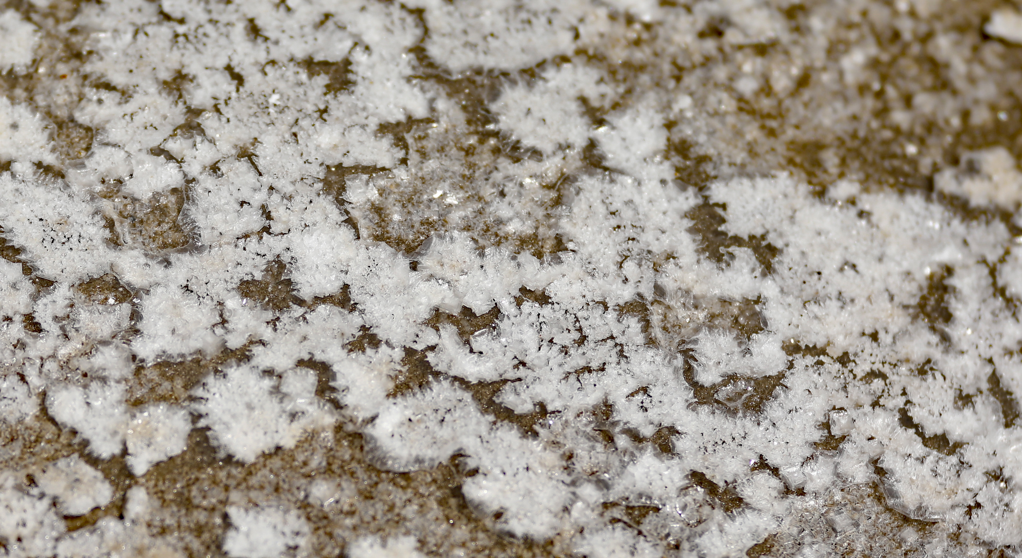 Lenscapes – Salt – Curacao Exposed